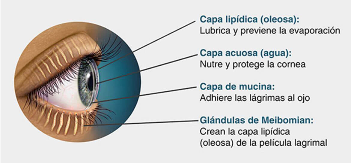 Patologías Frecuentes | Clínica de Ojos Román
